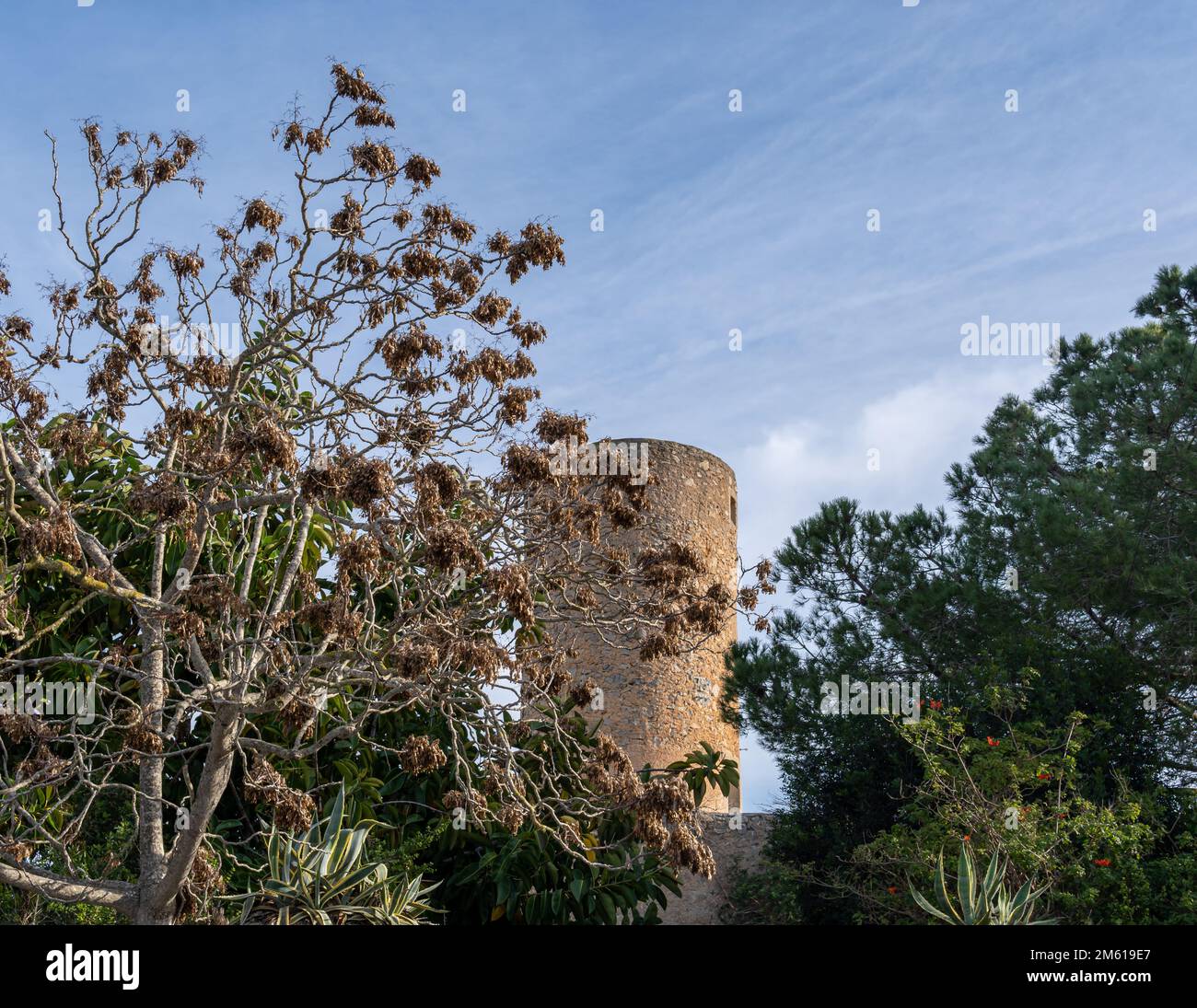Rustic house with restored old stone mill. Felanitx, island of Mallorca ...