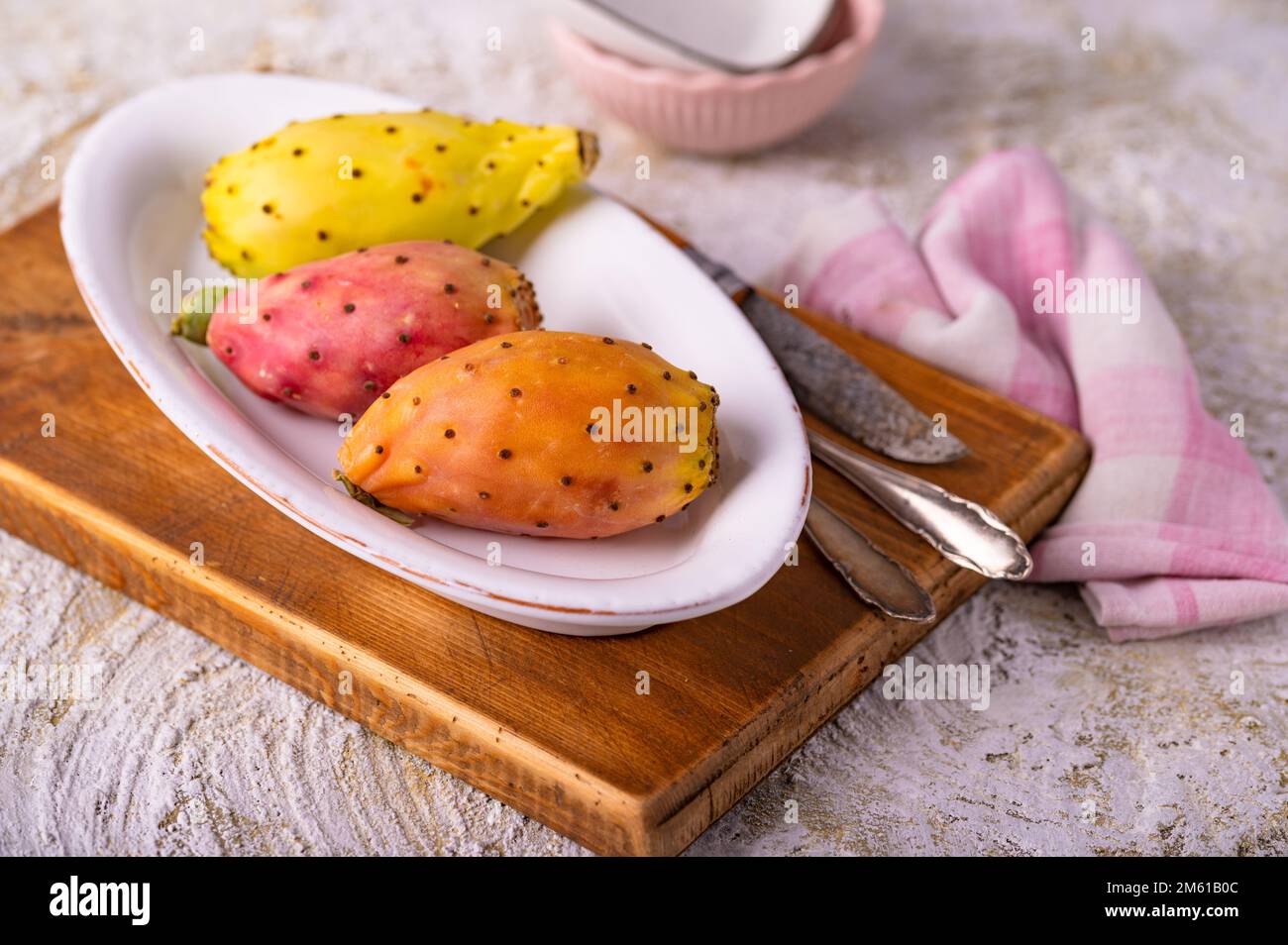 Prickly plate hi-res stock photography and images - Alamy