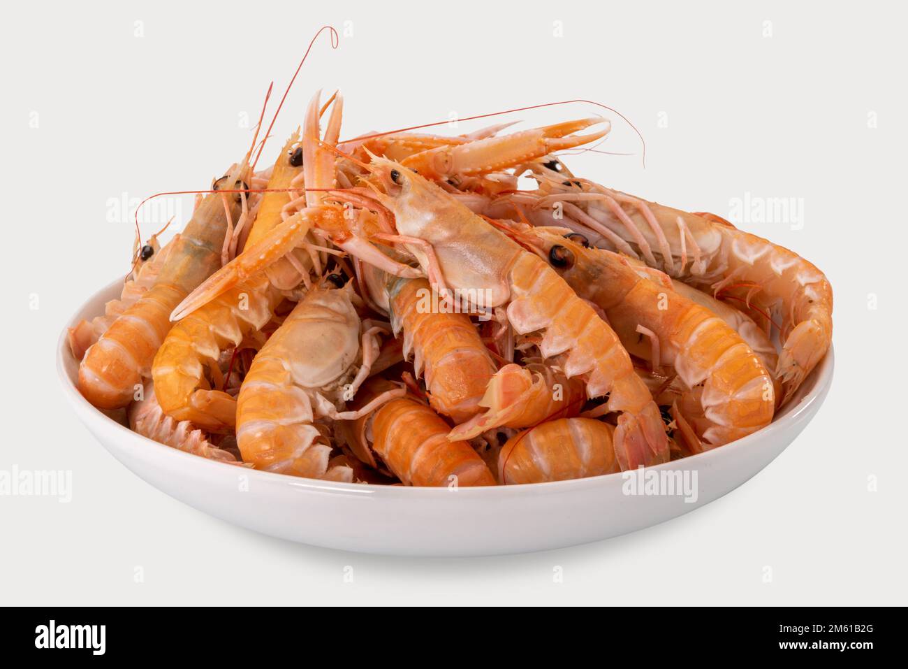 Langoustines, raw scampi in white dish ready to be cooked, isolated on ...