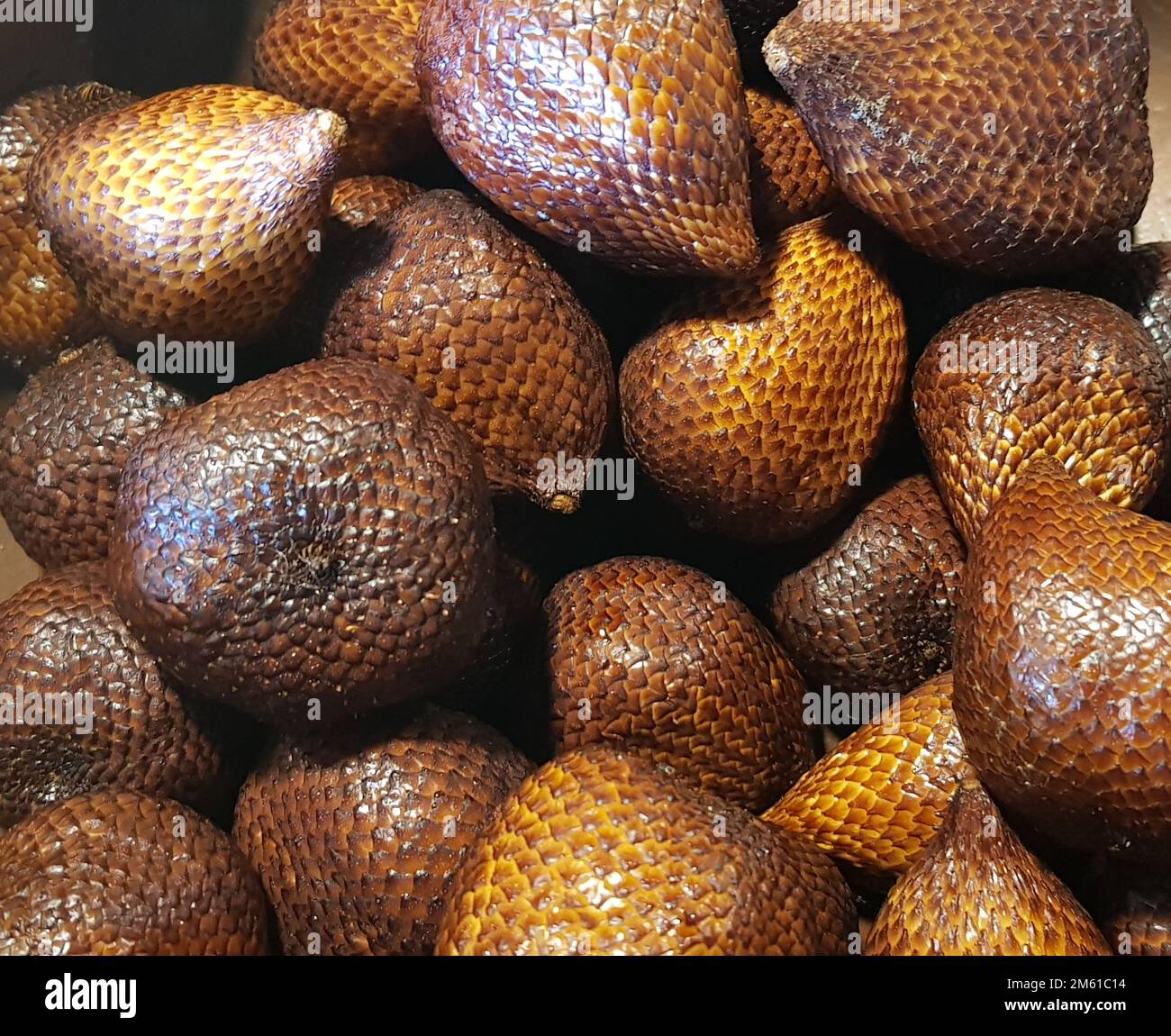 A closeup of group of salak Stock Photo - Alamy