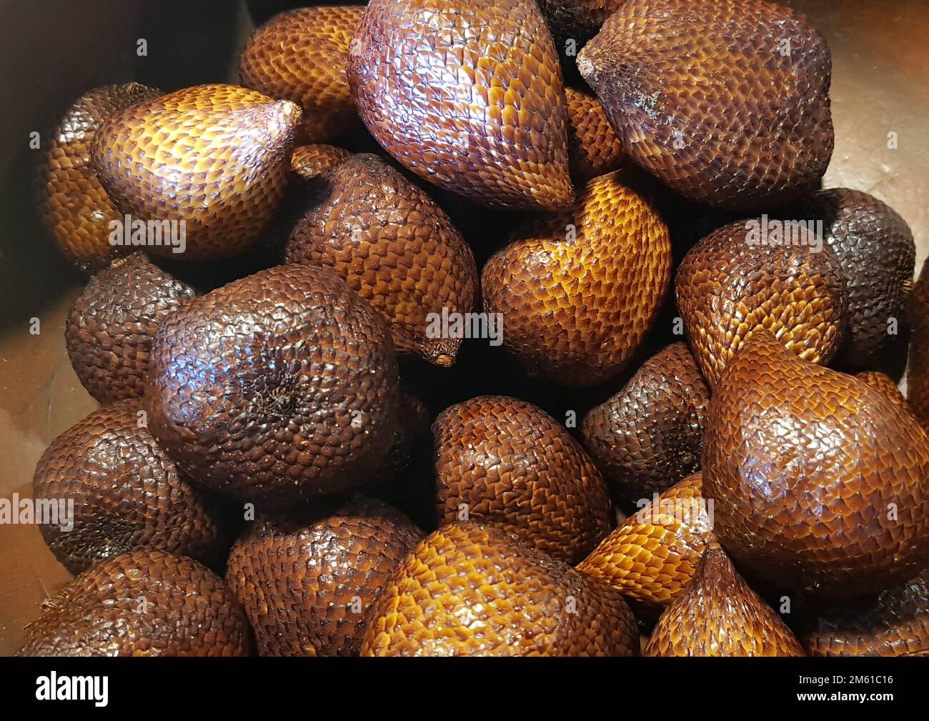 A closeup of group of salak Stock Photo - Alamy