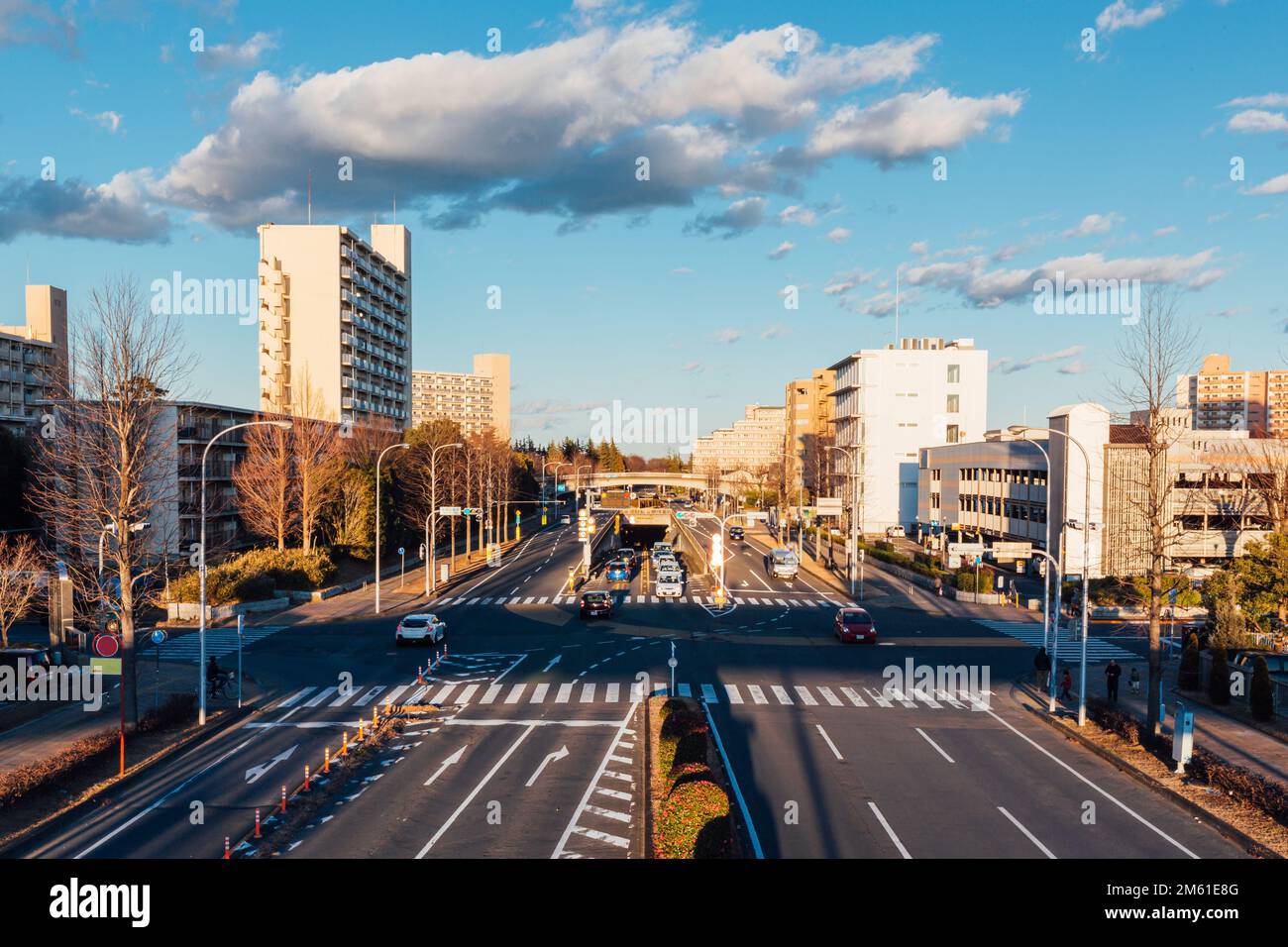 The skyline of Tsukuba City Center in Ibaraki, Japan under a cloudy sky Stock Photo - Alamy