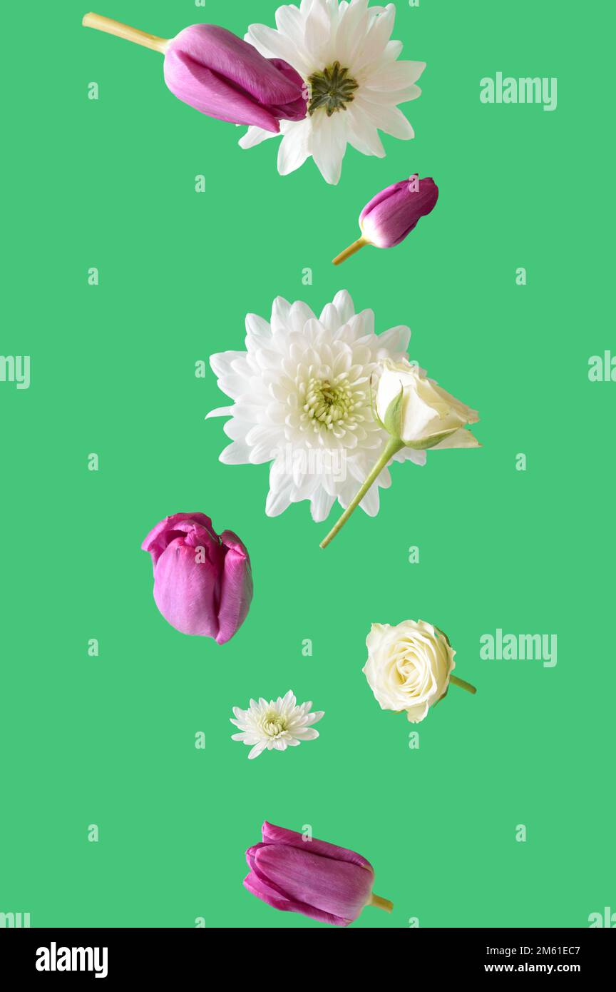 Spring flowers on a green background. Aesthetic surreal flower idea ...