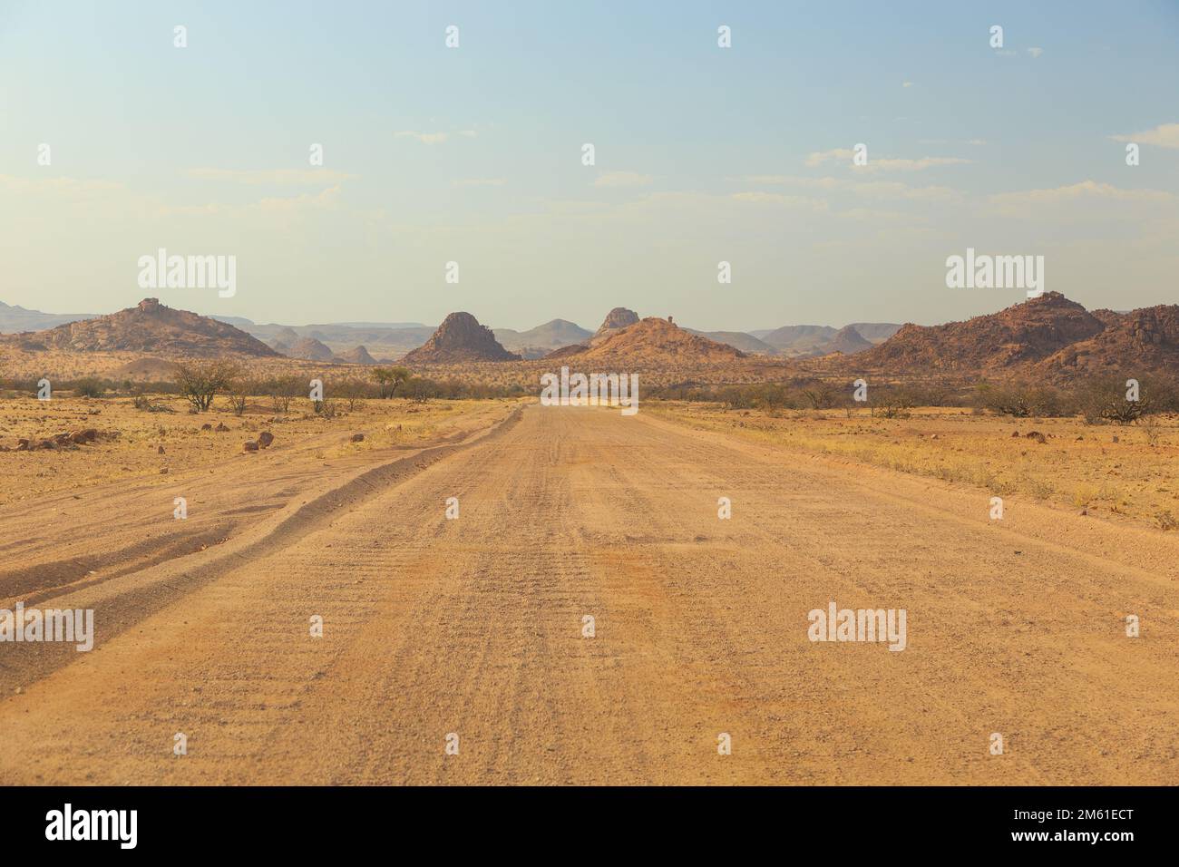 Namibian landscape along the gravel road. Yellow ground and African ...