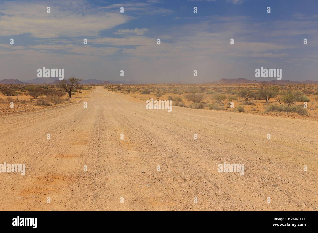 Namibian landscape along the gravel road. Yellow ground and African ...