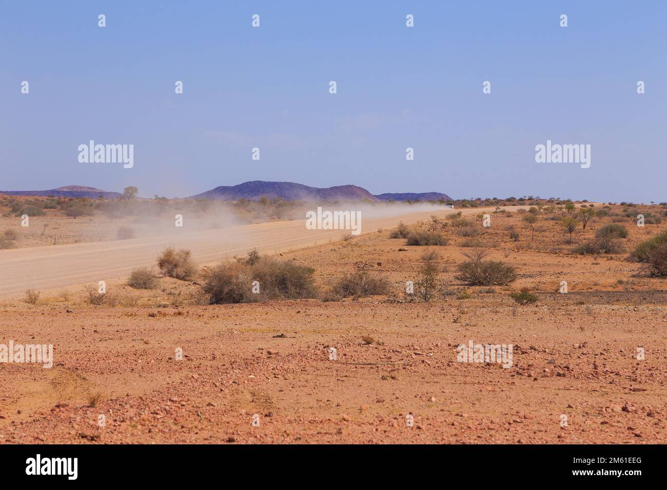 Namibian landscape along the gravel road. Yellow ground and African ...
