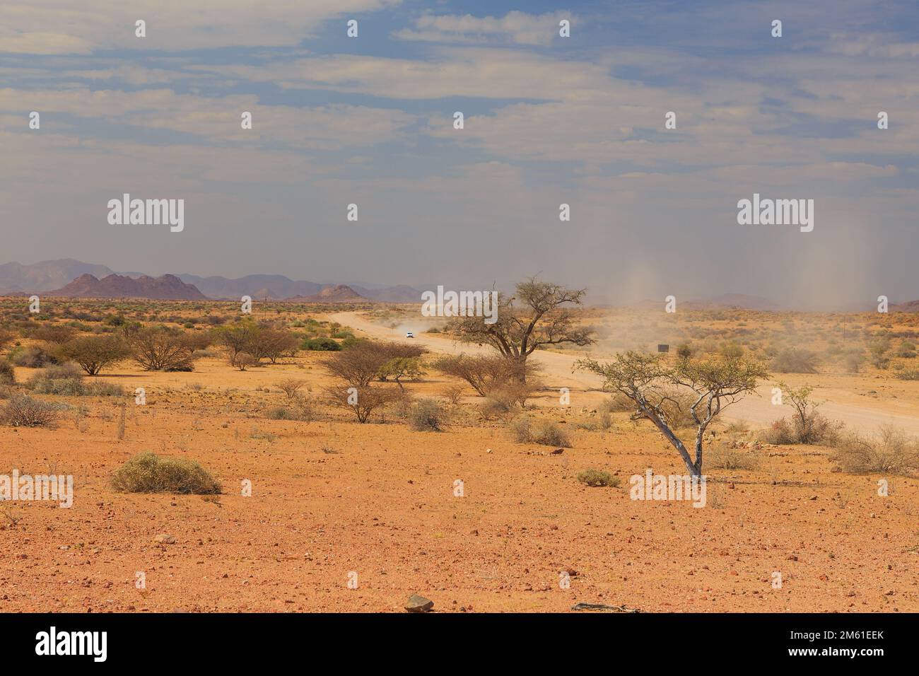 Namibian landscape along the gravel road. Yellow ground and African ...