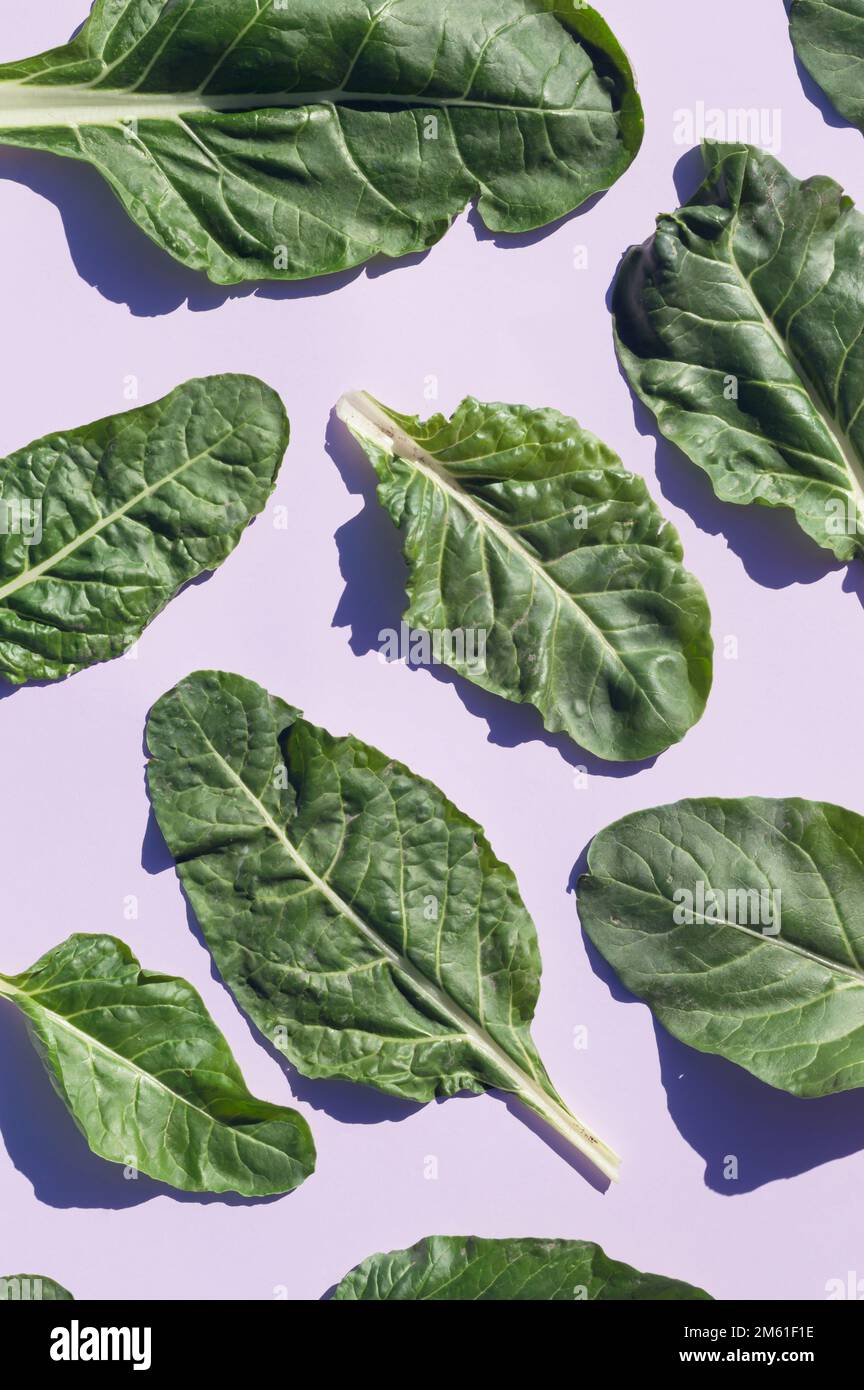 Green chard on a purple background. Vegetable pattern concept Stock ...