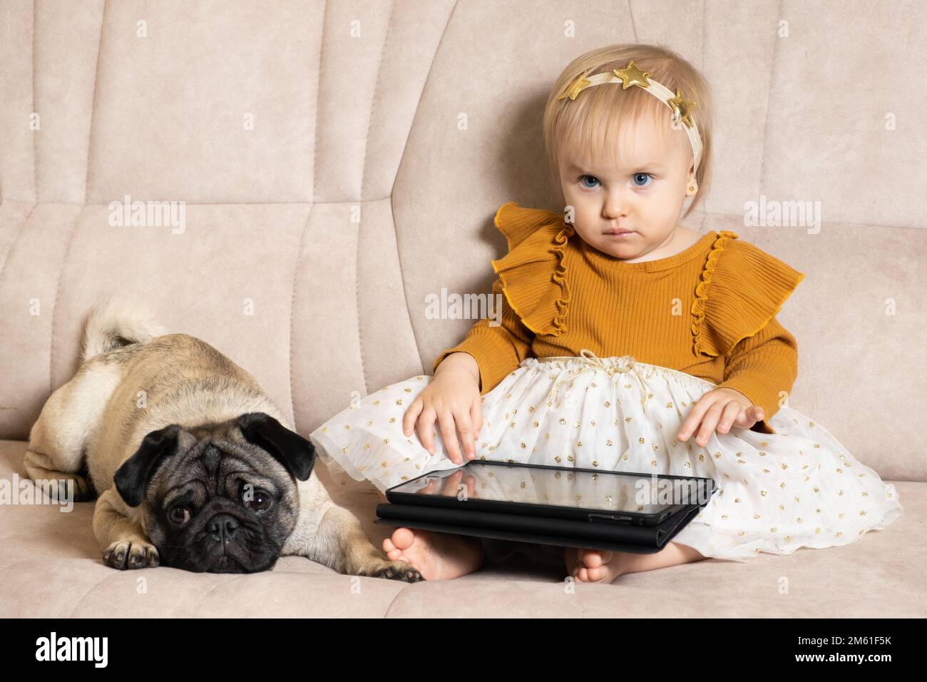 A one-year-old girl with a pug watches cartoons on a tablet sitting on ...