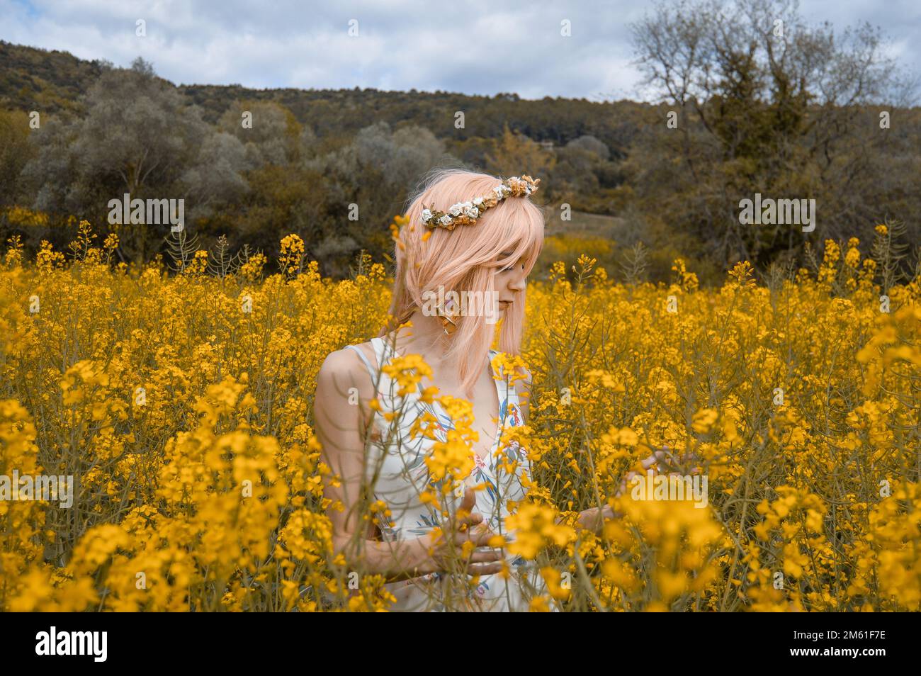 Girl in a long summer chiffon dress, wearing a pink wig and a flower ...