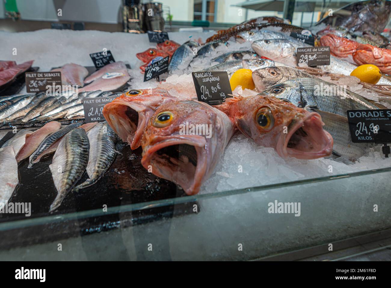 Fish Market display case with fish Stock Photo - Alamy
