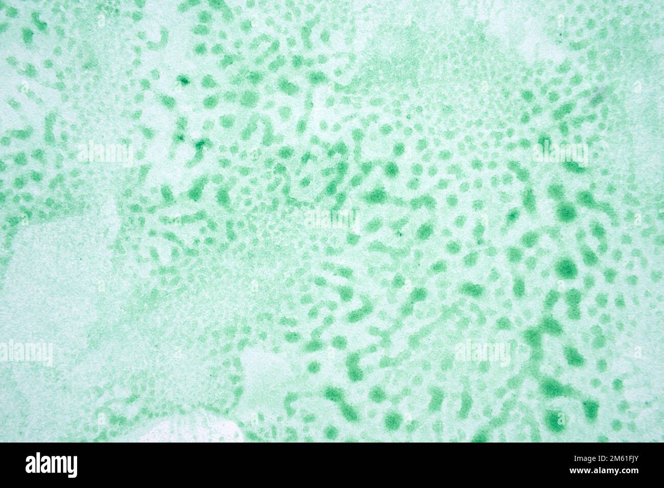 Watercolor grass texture background. Green abstract landscape gradient ...