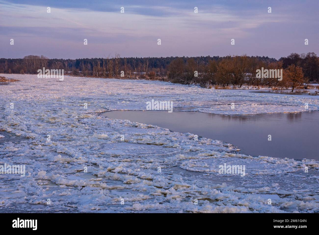 Ice-bound river and floating floe on a sunny frosty winter day. The ...