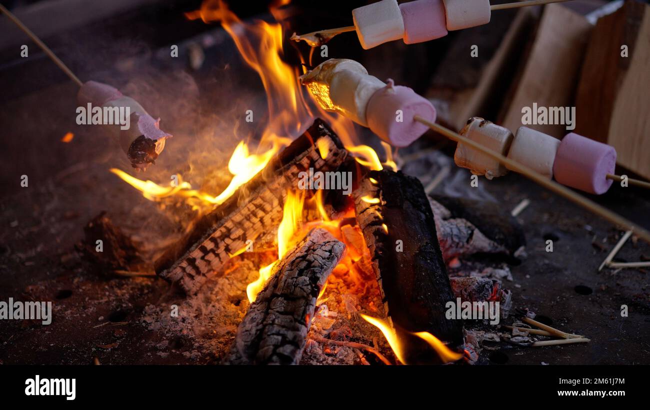 Toasting marshmallows over open fire Stock Photo - Alamy