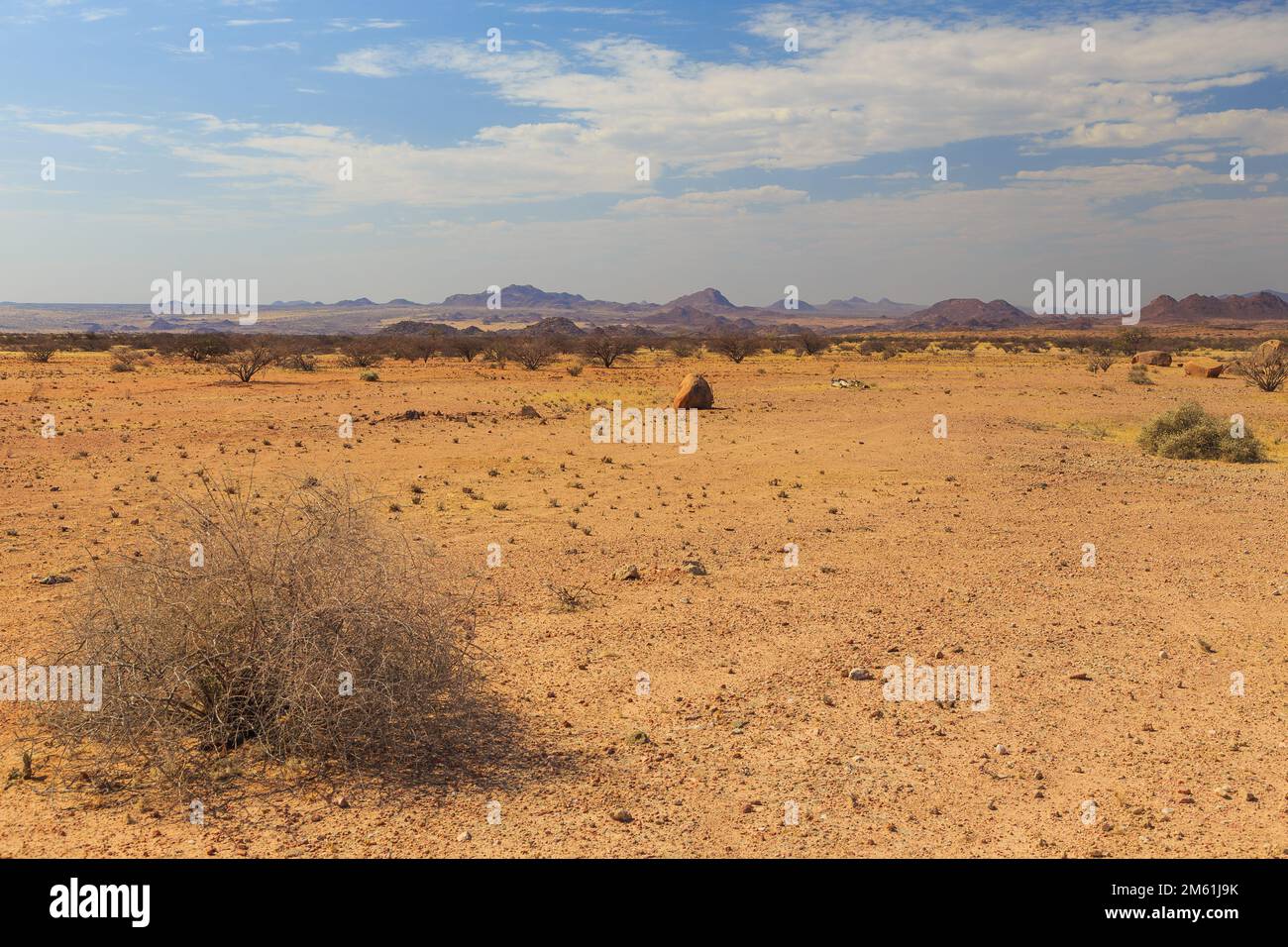 Namibian landscape, red ground and African vegetation around ...