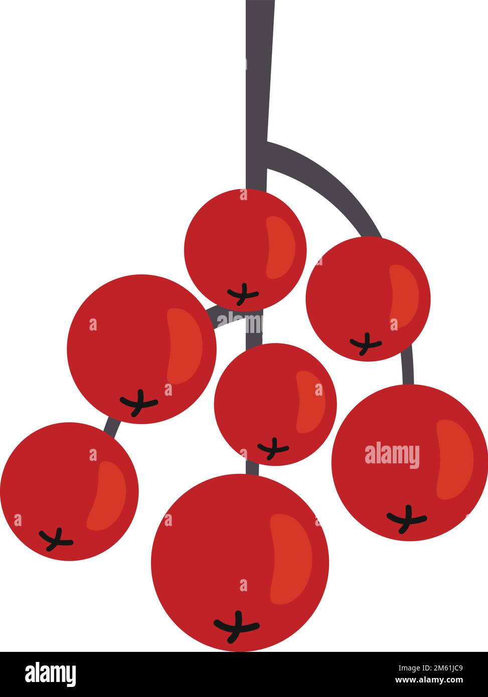 Rowan autumn berry icon hi-res stock photography and images - Alamy