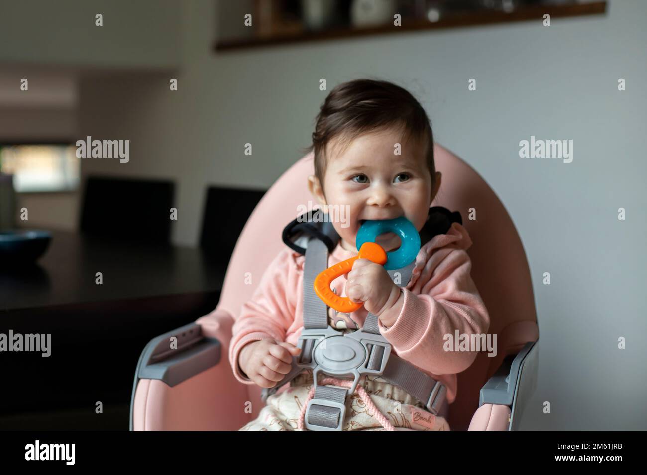 Nine-month-old cute baby sitting in pink baby chair, smiling and biting ...