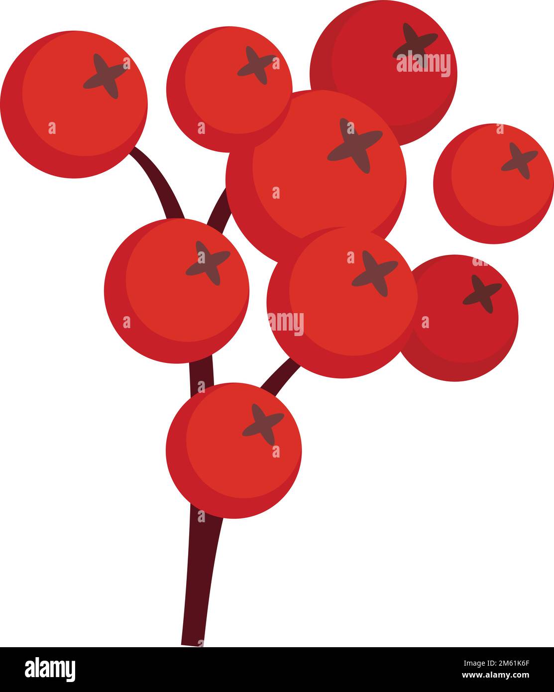 Rowan forest berry icon. Flat illustration of Rowan forest berry vector ...