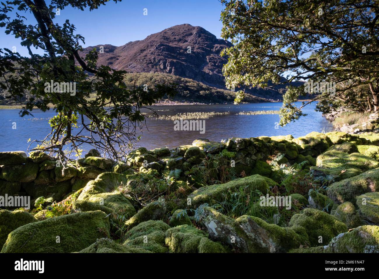 Cwm bychan hi-res stock photography and images - Alamy
