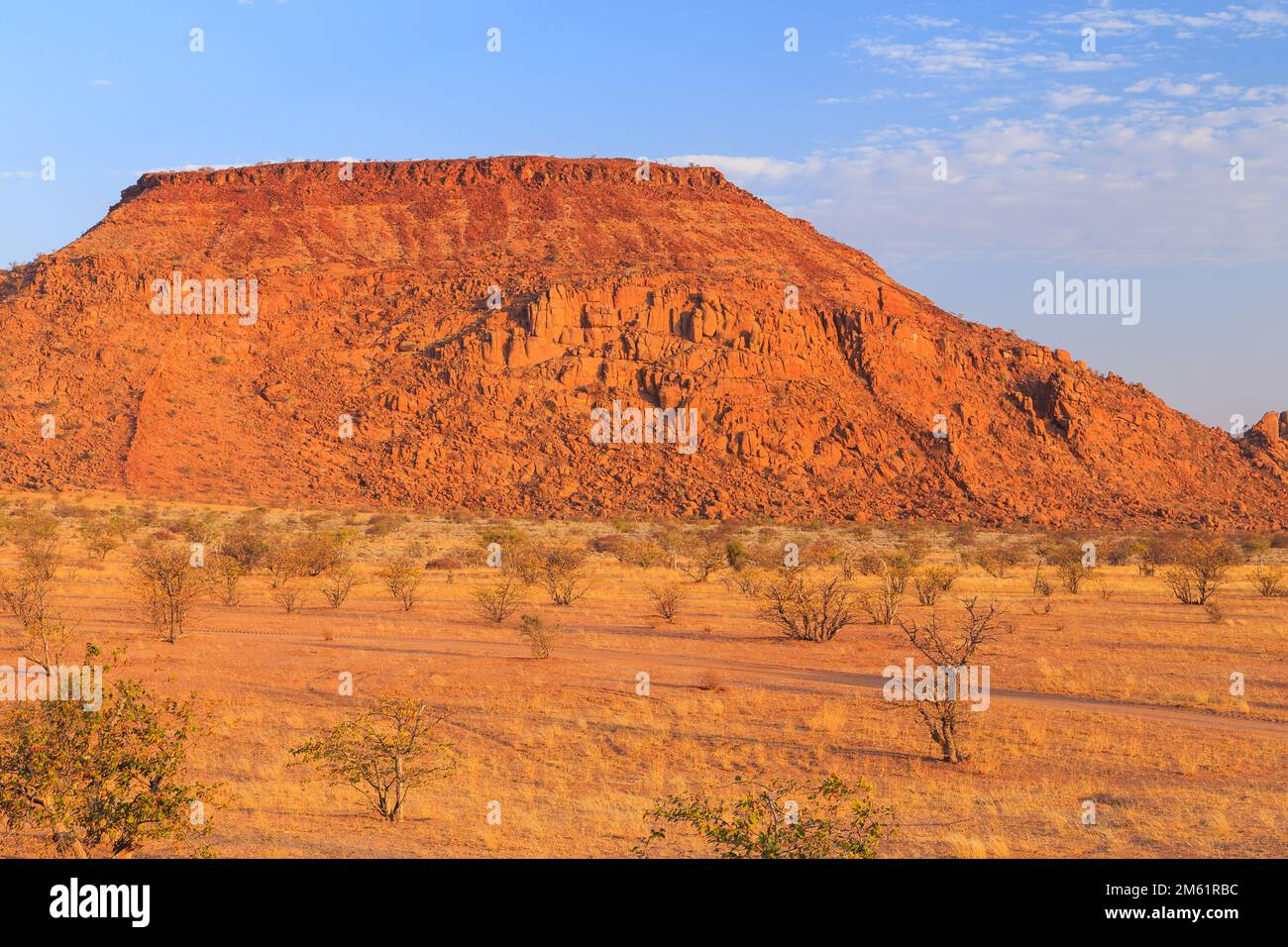 Namibian landscape, red ground and African vegetation around ...