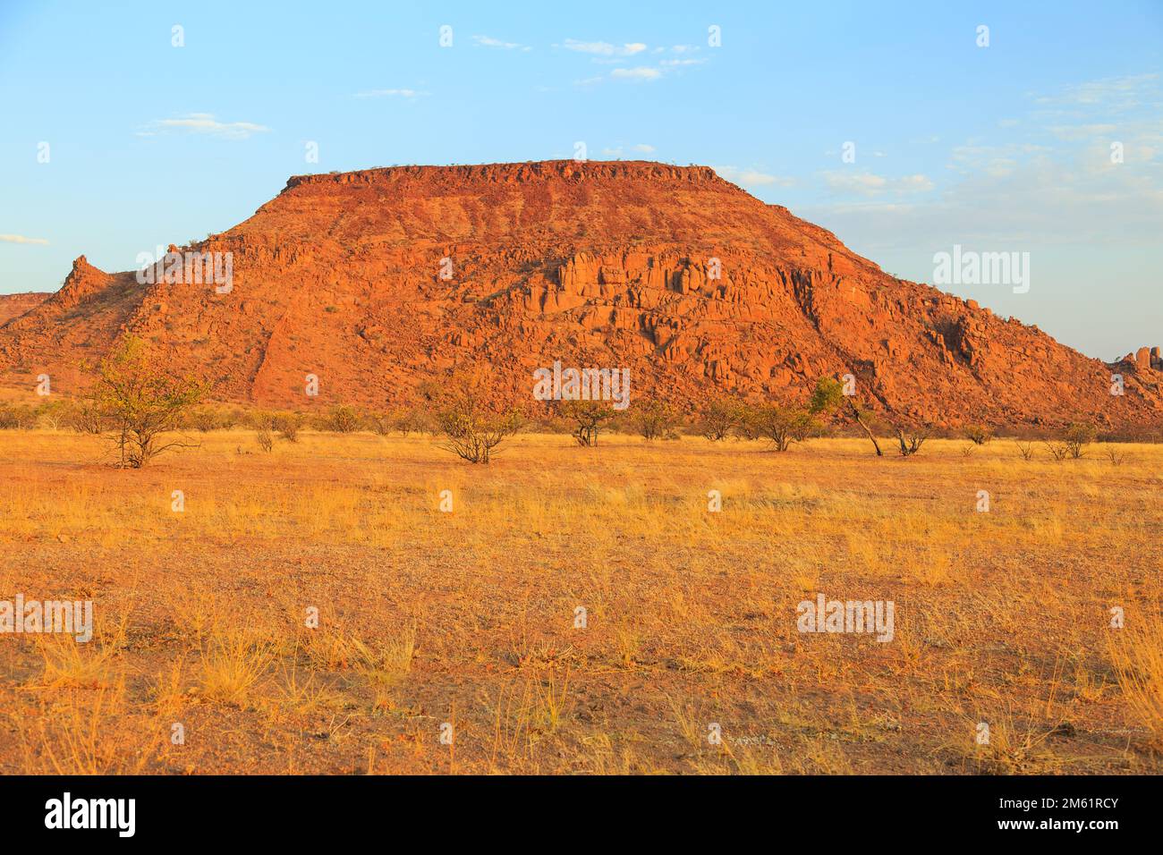 Namibian landscape, red ground and African vegetation around ...