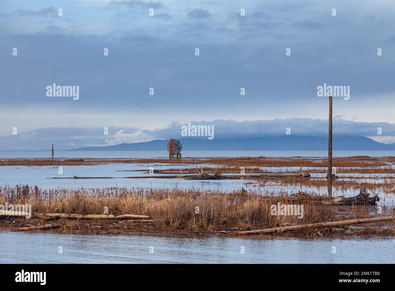 Coastal marsh flooding during extreme high tides in Richmond B.C ...