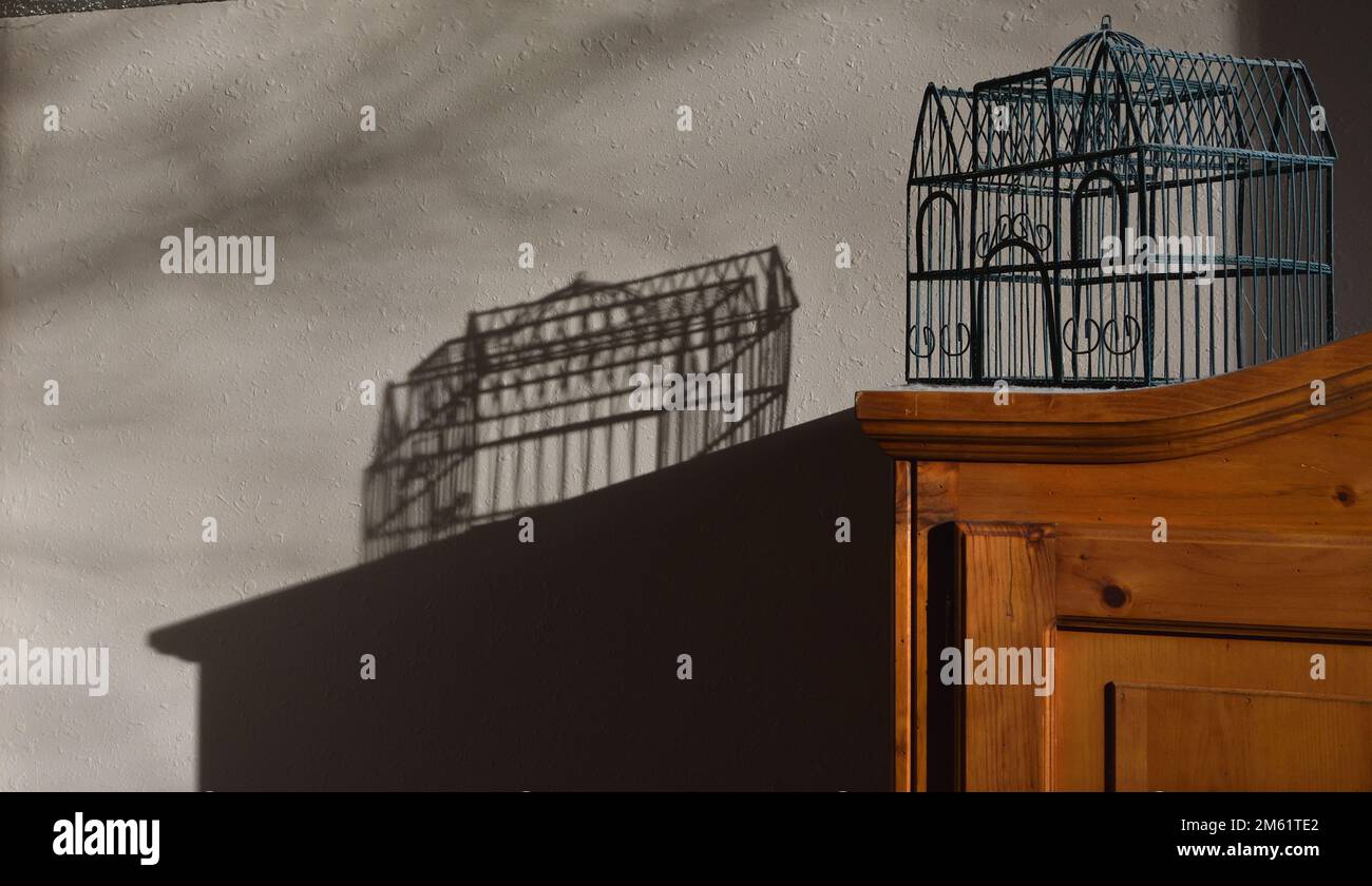 decorative bird cage and shadow Stock Photo - Alamy