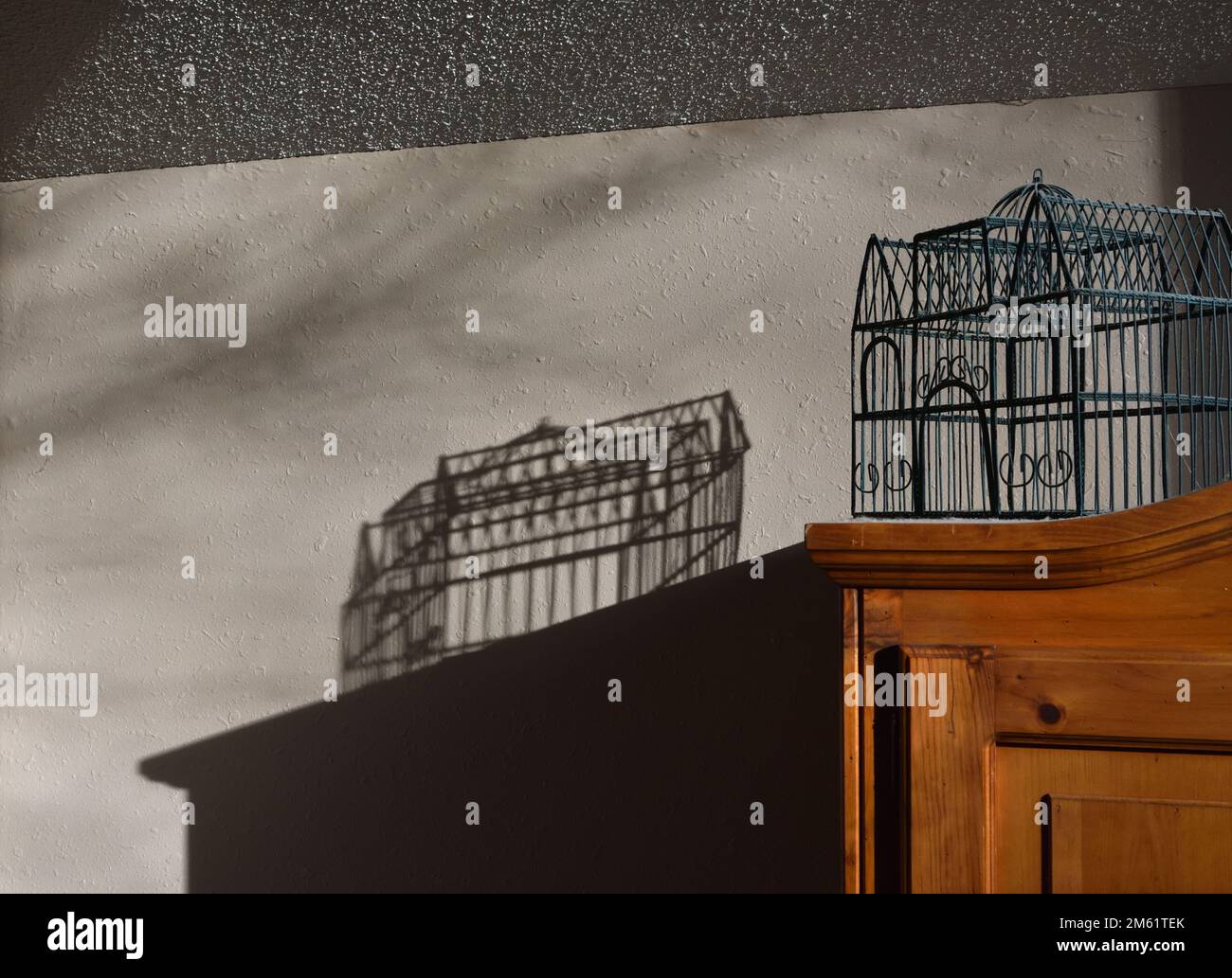 decorative bird cage and shadow Stock Photo - Alamy