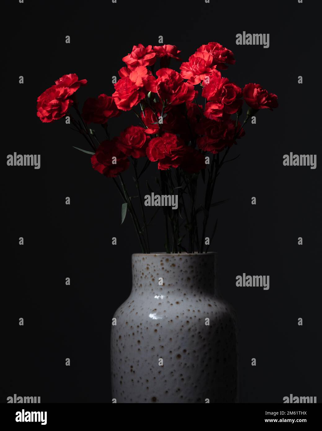 Exposture technical details hi-res stock photography and images - Alamy