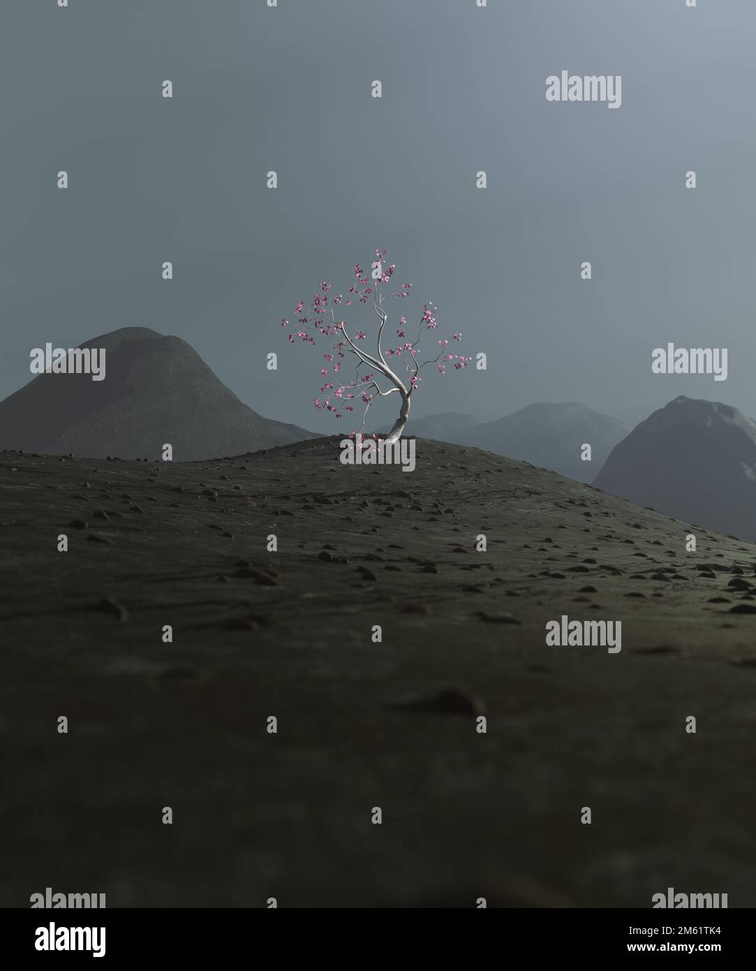 Single tree with pink leaves. Sunset in the on top of Austrian mountain ...