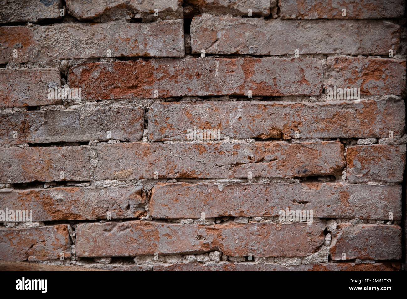 Texture feature hi-res stock photography and images - Alamy