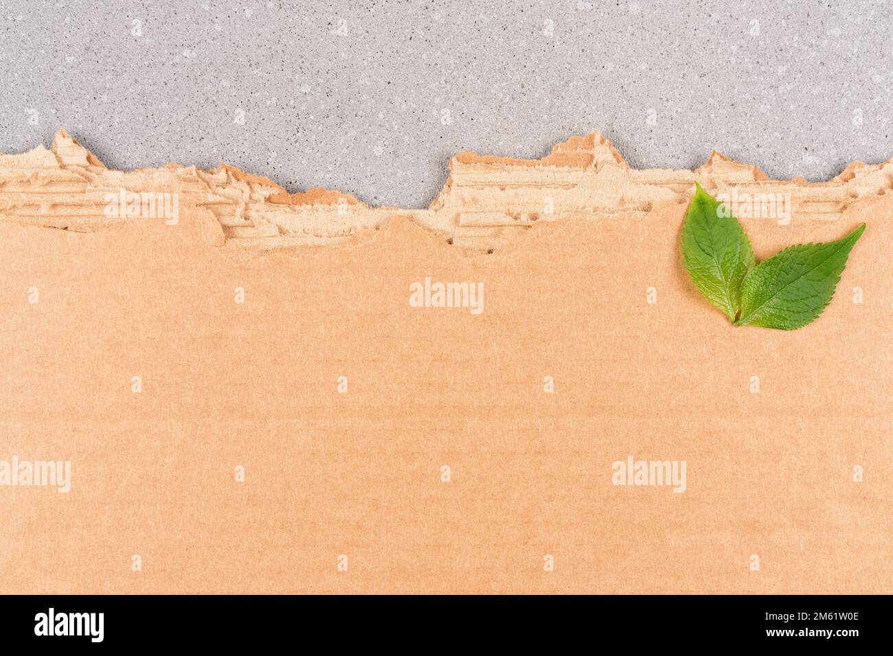 Corrugated cardboard texture as eco background for ecological project ...