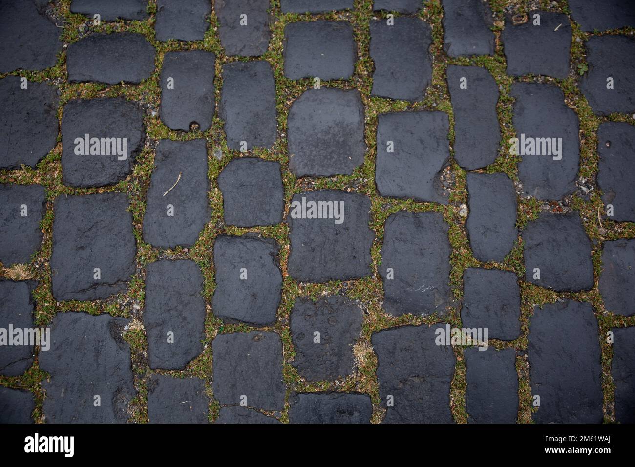a road made of some squre stone with some dry leafs. Stone patio tiles ...