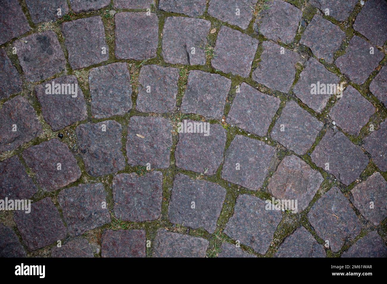 Gray squre stone texture hi-res stock photography and images - Alamy