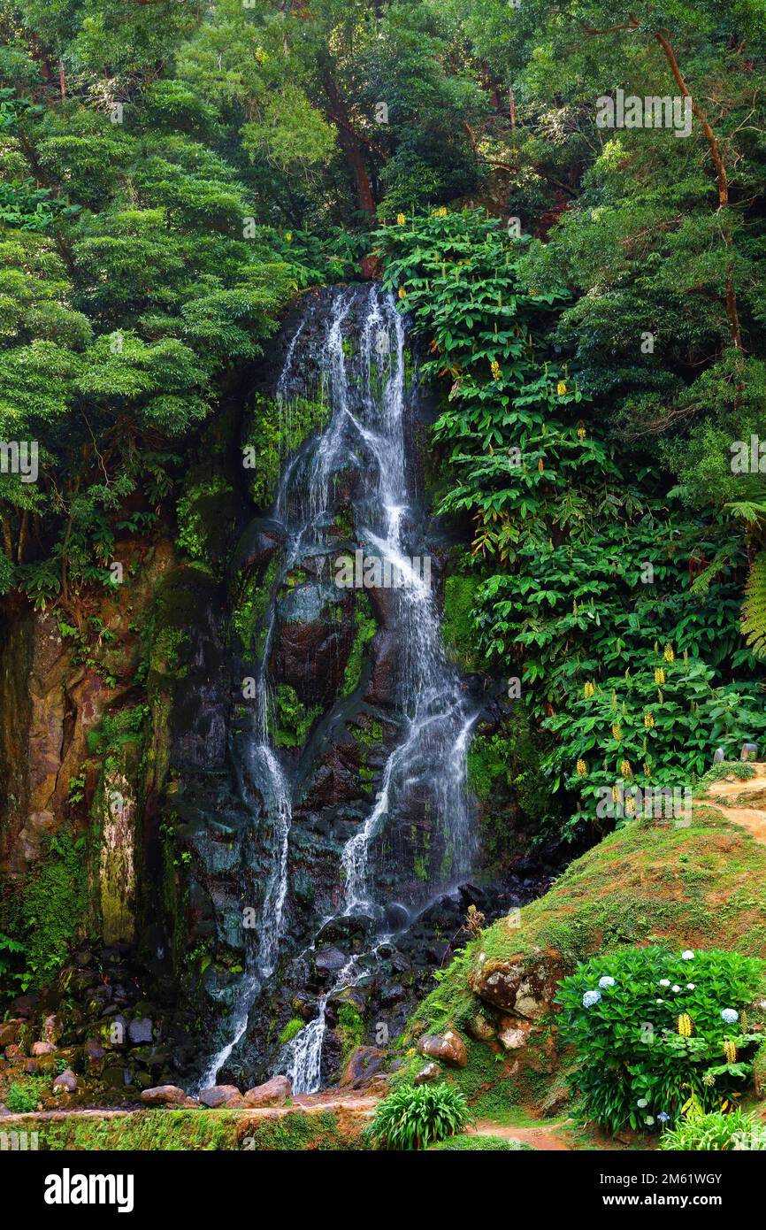Sao Miguel Island in the Azores. Typical landscape of waterfall in ...