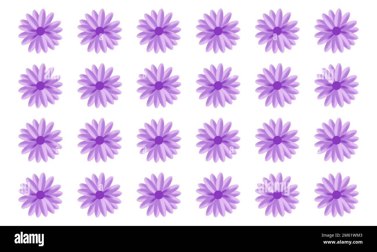 A vector illustration of the Blooming purple flower on white background ...