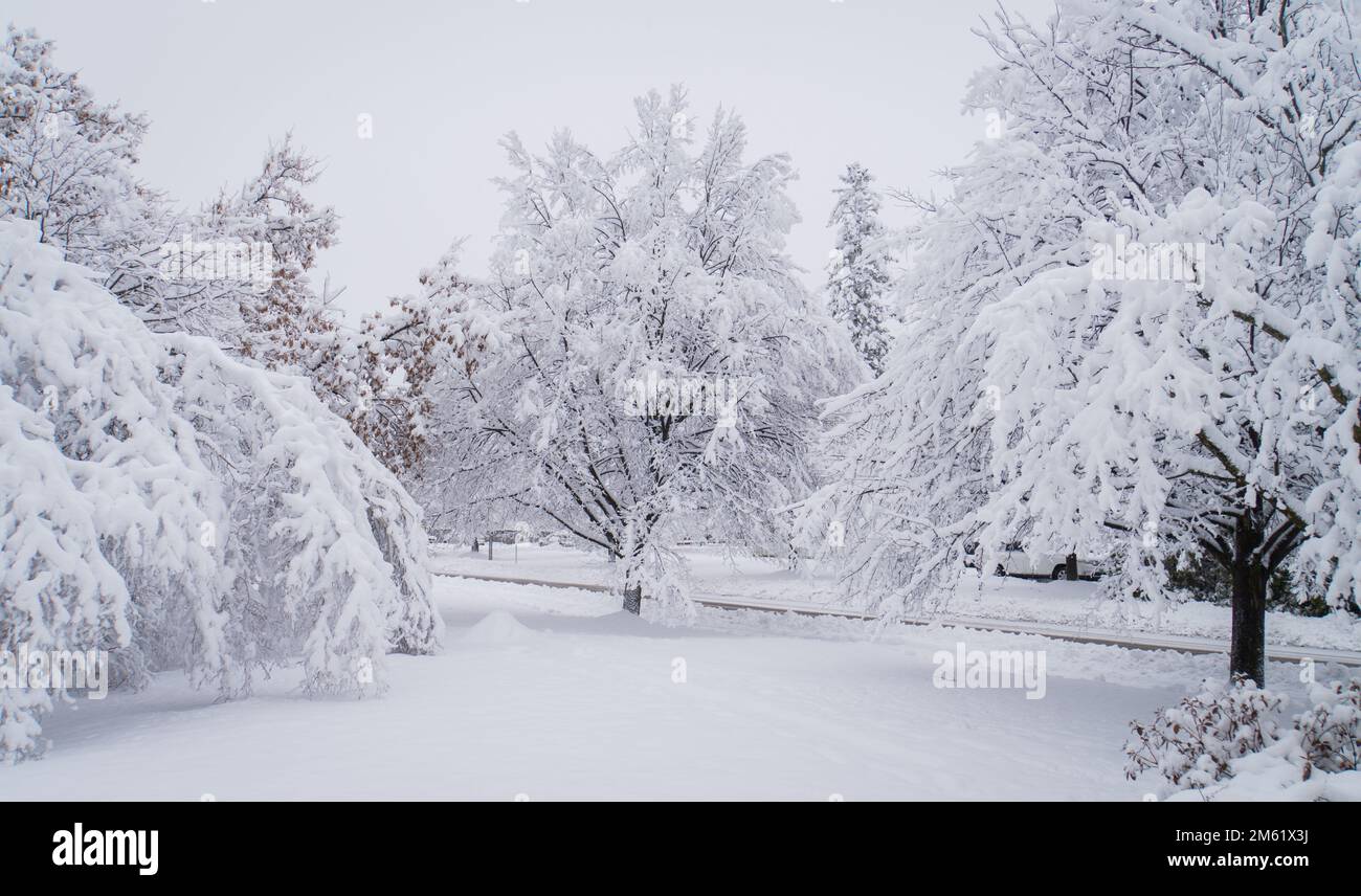 heavy snow fall creates a winter wonderland Stock Photo - Alamy
