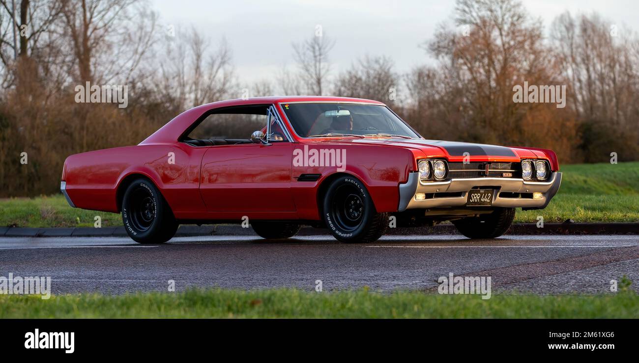 Oldsmobile 442 hi-res stock photography and images - Alamy