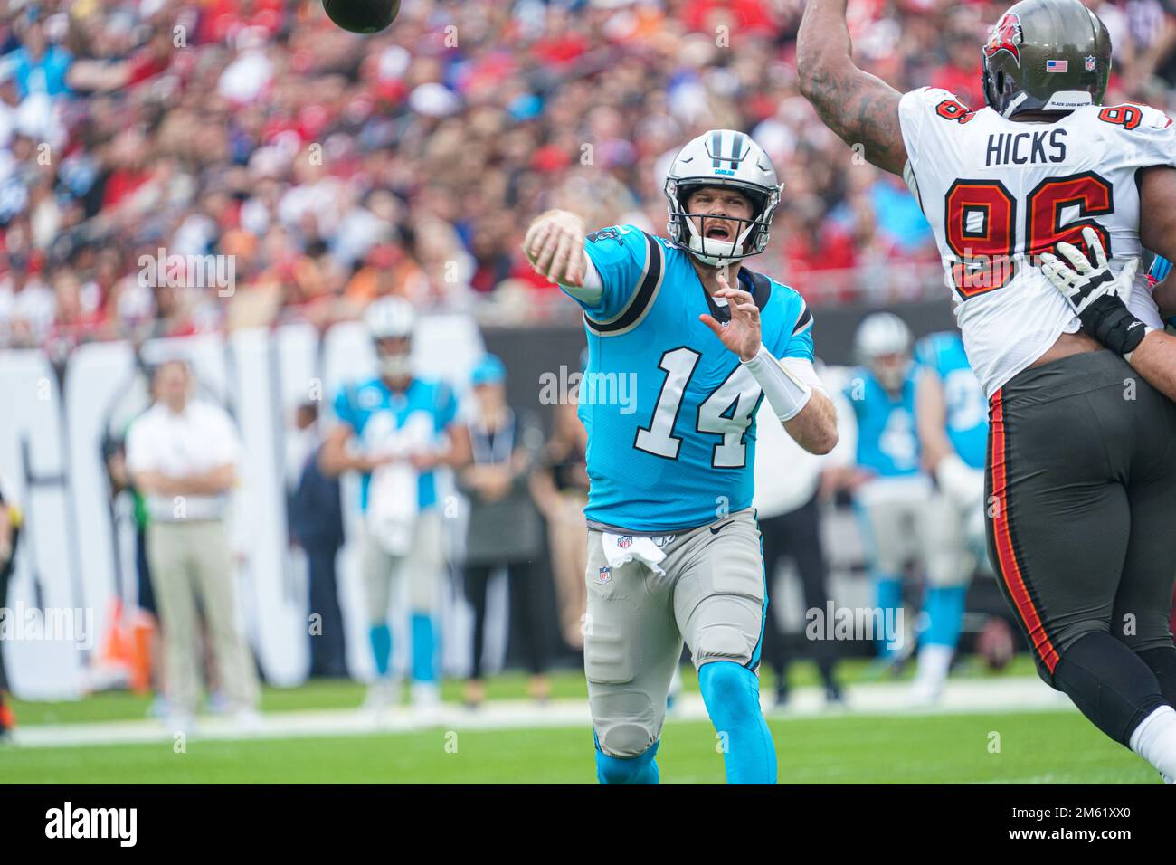 Tampa Bay, Florida, USA, January 1, 2023, Carolina Panthers quarterback ...