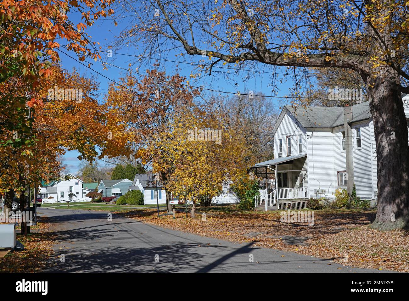 Small town residential street with white clapboard houses and trees ...