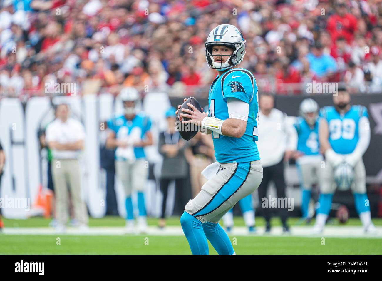 Tampa Bay, Florida, USA, January 1, 2023, Carolina Panthers quarterback ...