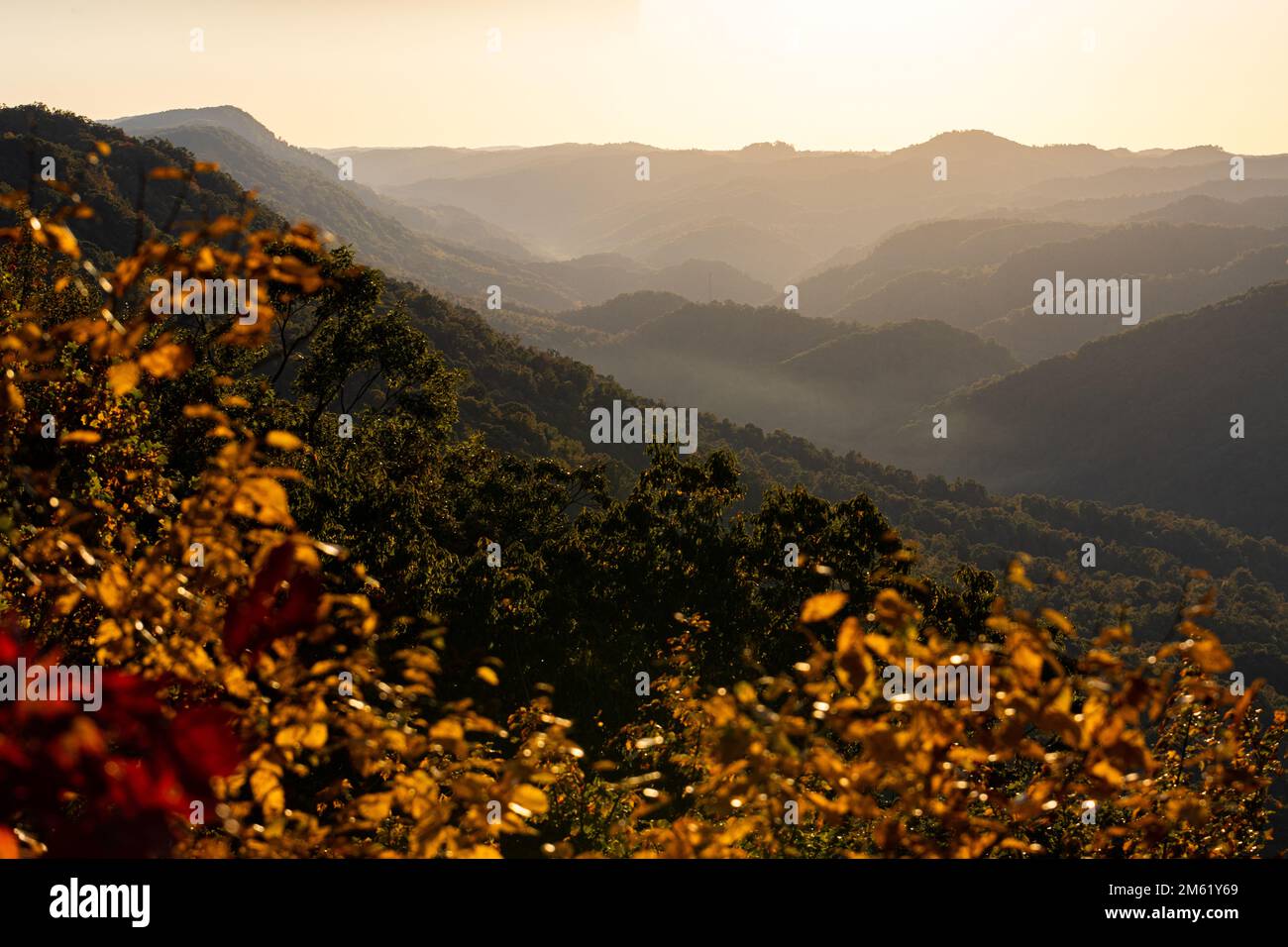 Fall foliage in forested mountains in Central Appalachia Stock Photo ...