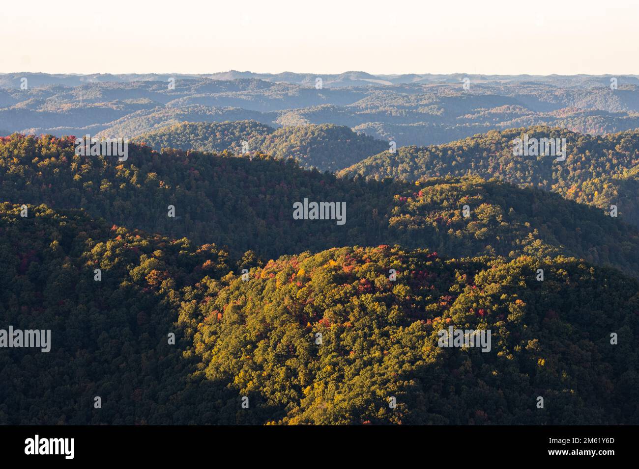 Fall foliage in forested mountains in Central Appalachia Stock Photo ...