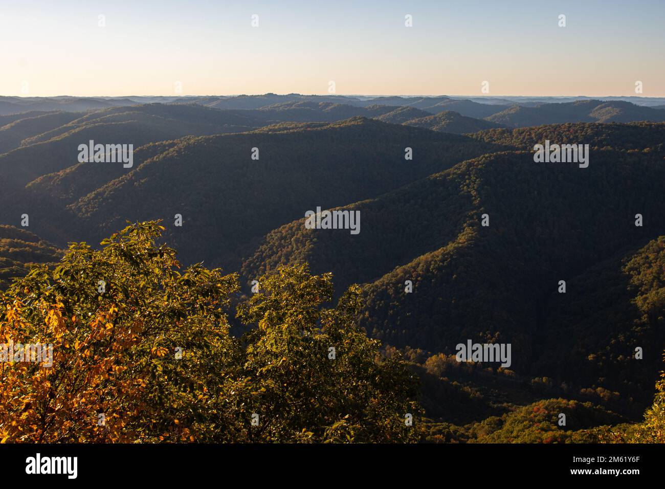 Fall foliage in forested mountains in Central Appalachia Stock Photo ...
