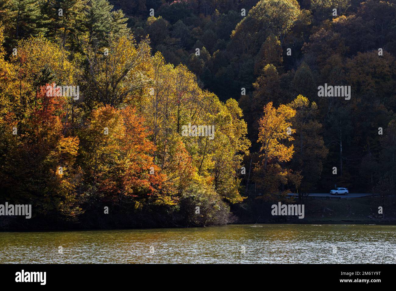 Fall foliage above a small lake in Central Appalachia Stock Photo - Alamy