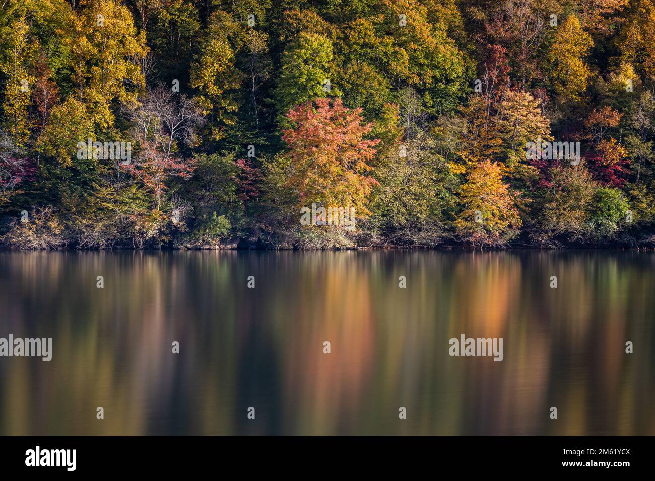 Fall foliage above a small lake in Central Appalachia Stock Photo - Alamy