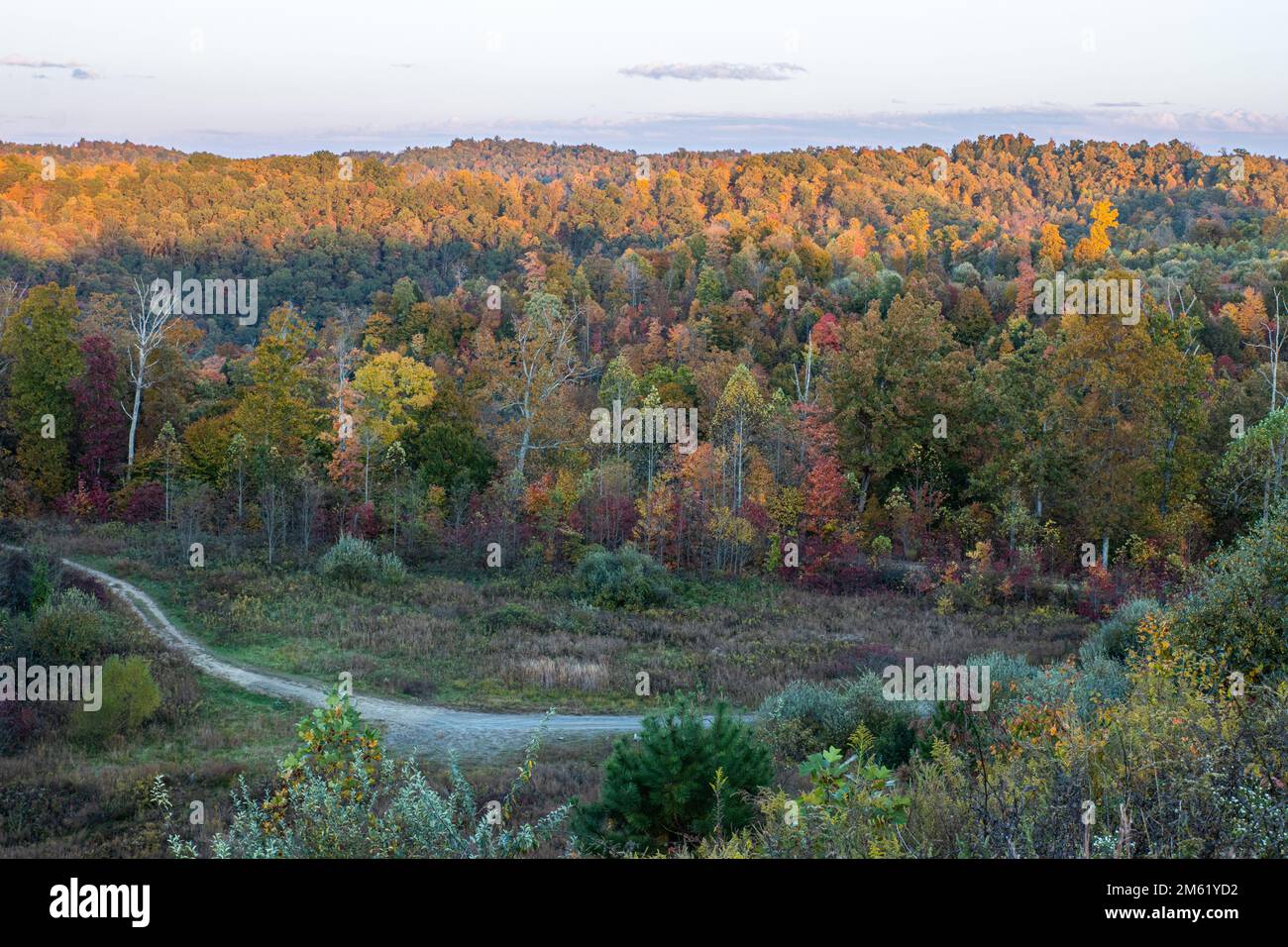 Fall foliage cover a forested hill in Central Appalachia Stock Photo ...