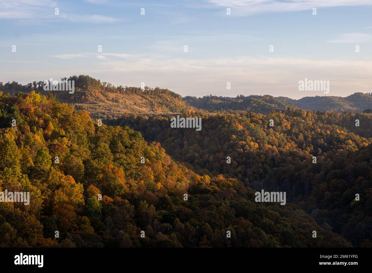 Fall foliage cover a forested hill in Central Appalachia Stock Photo ...