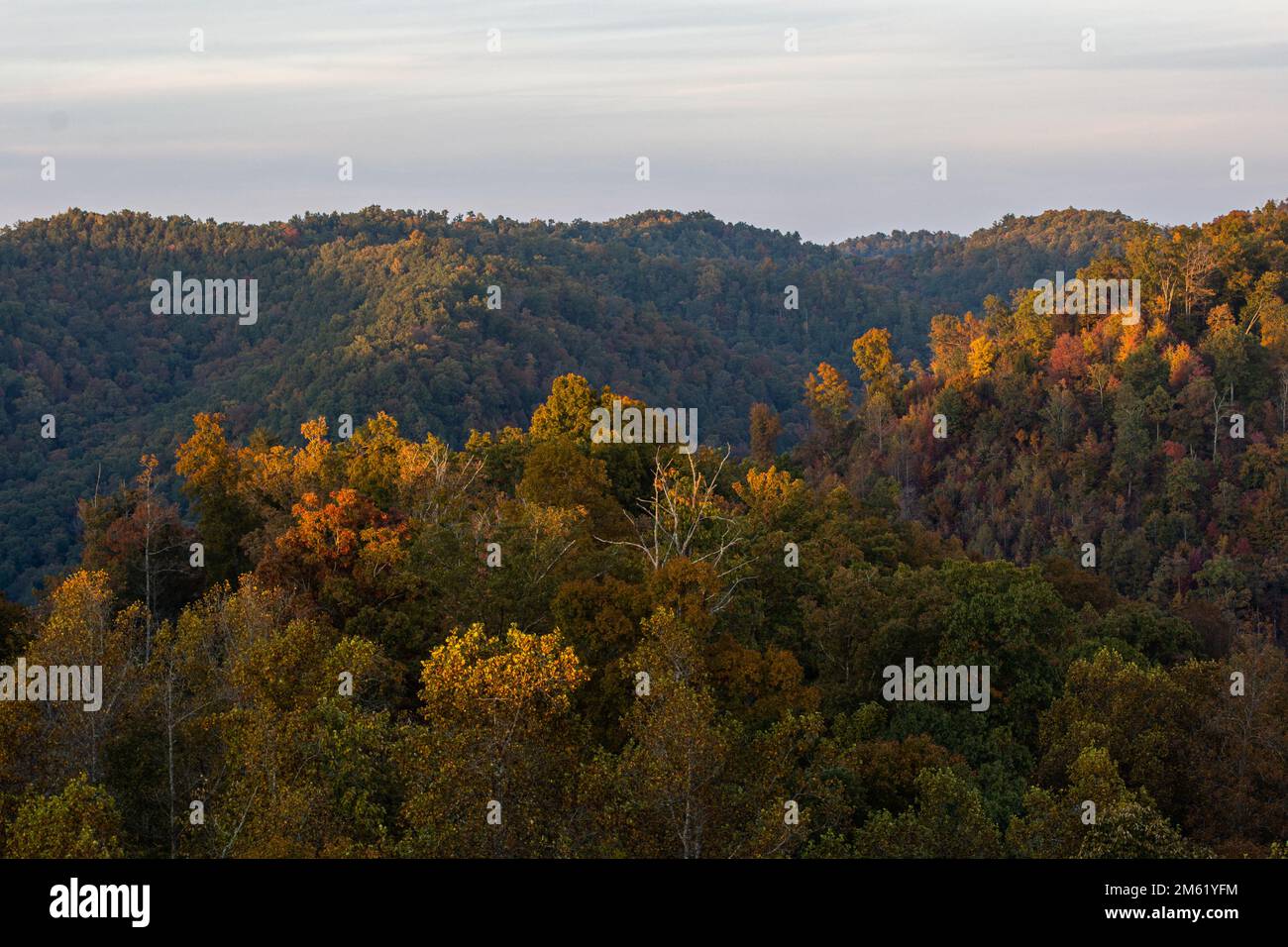 Fall foliage cover a forested hill in Central Appalachia Stock Photo ...