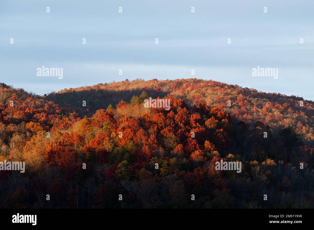 Autumn color shows in the forested mountains of Central Appalachia ...